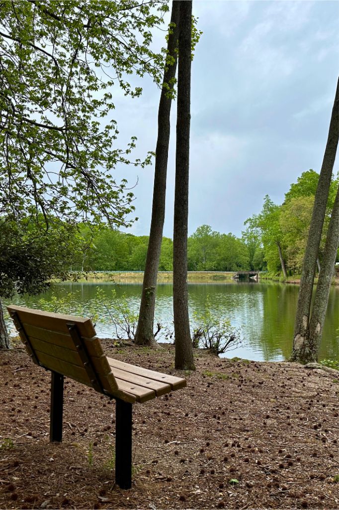 About – Friends Of Duncan Park