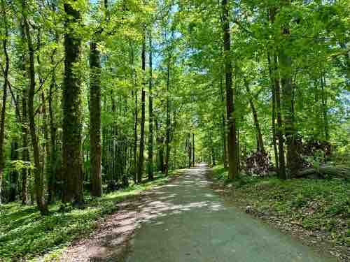 Friends Of Duncan Park