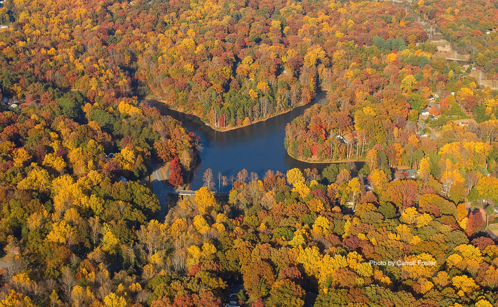 Friends Of Duncan Park